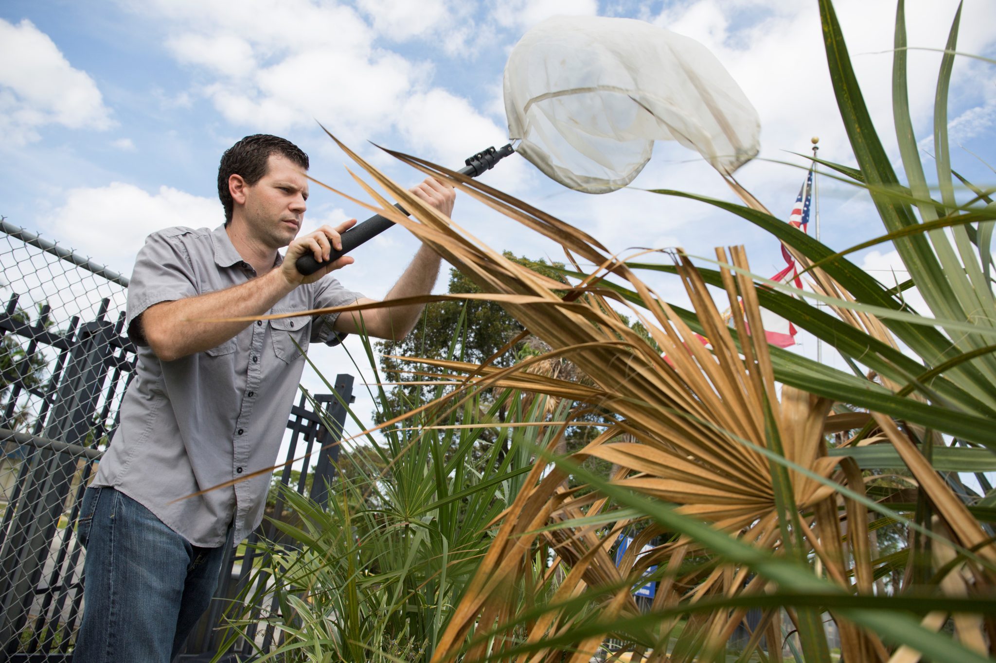 UF/IFAS study leads to milestone advances in understanding lethal ...