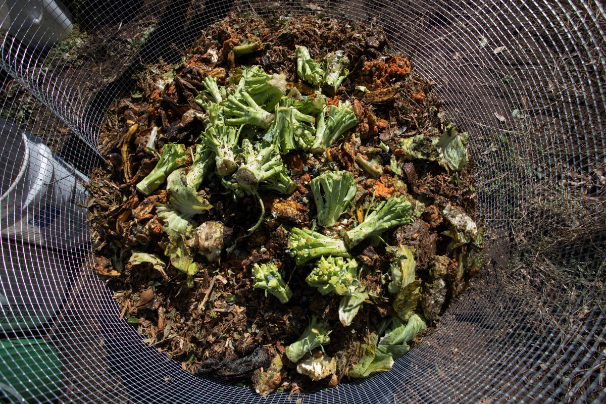 One step to curbing climate change this holiday season is to make the ...