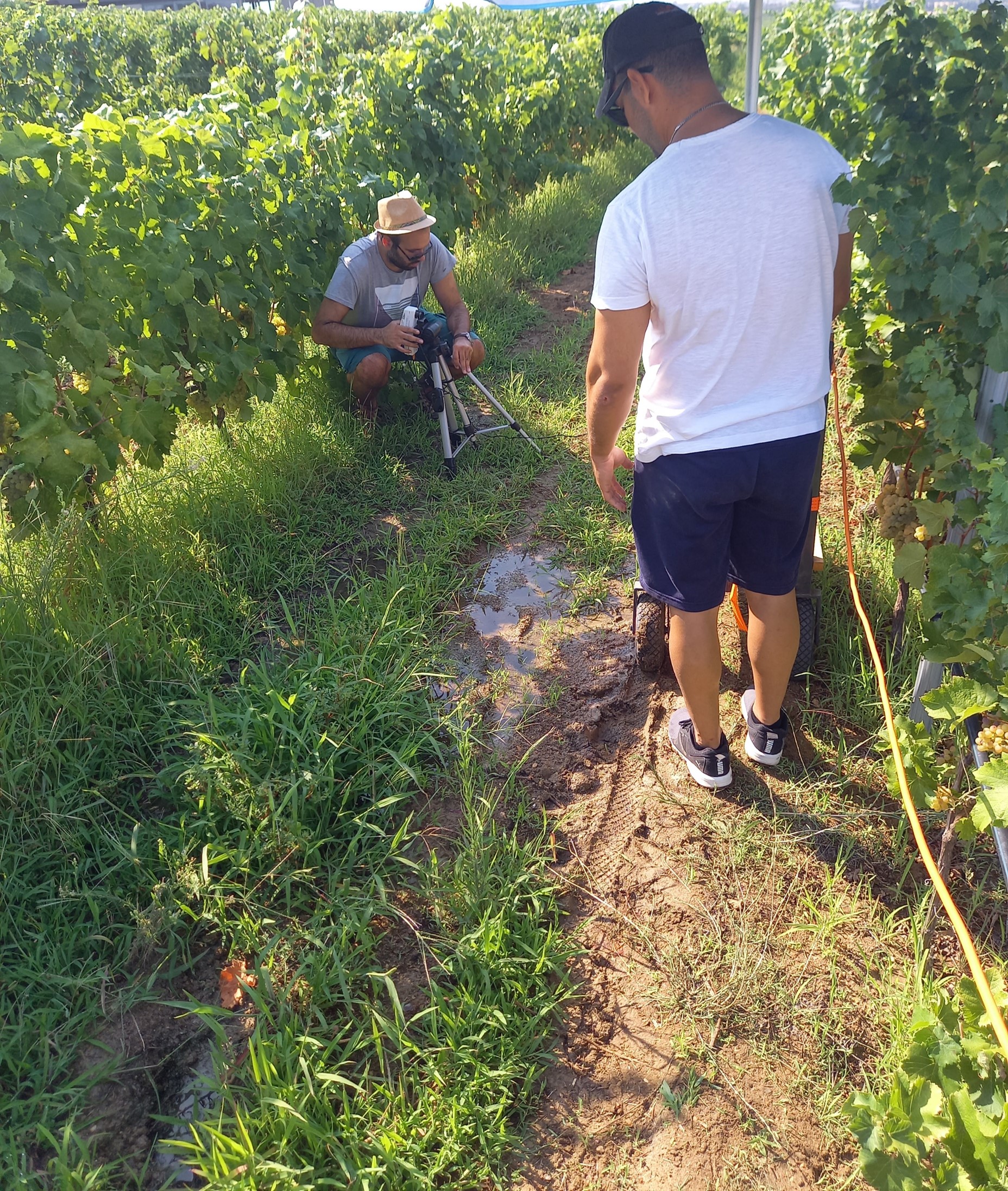 From hoops star to AI scientist, UF/IFAS researcher hopes to help ...