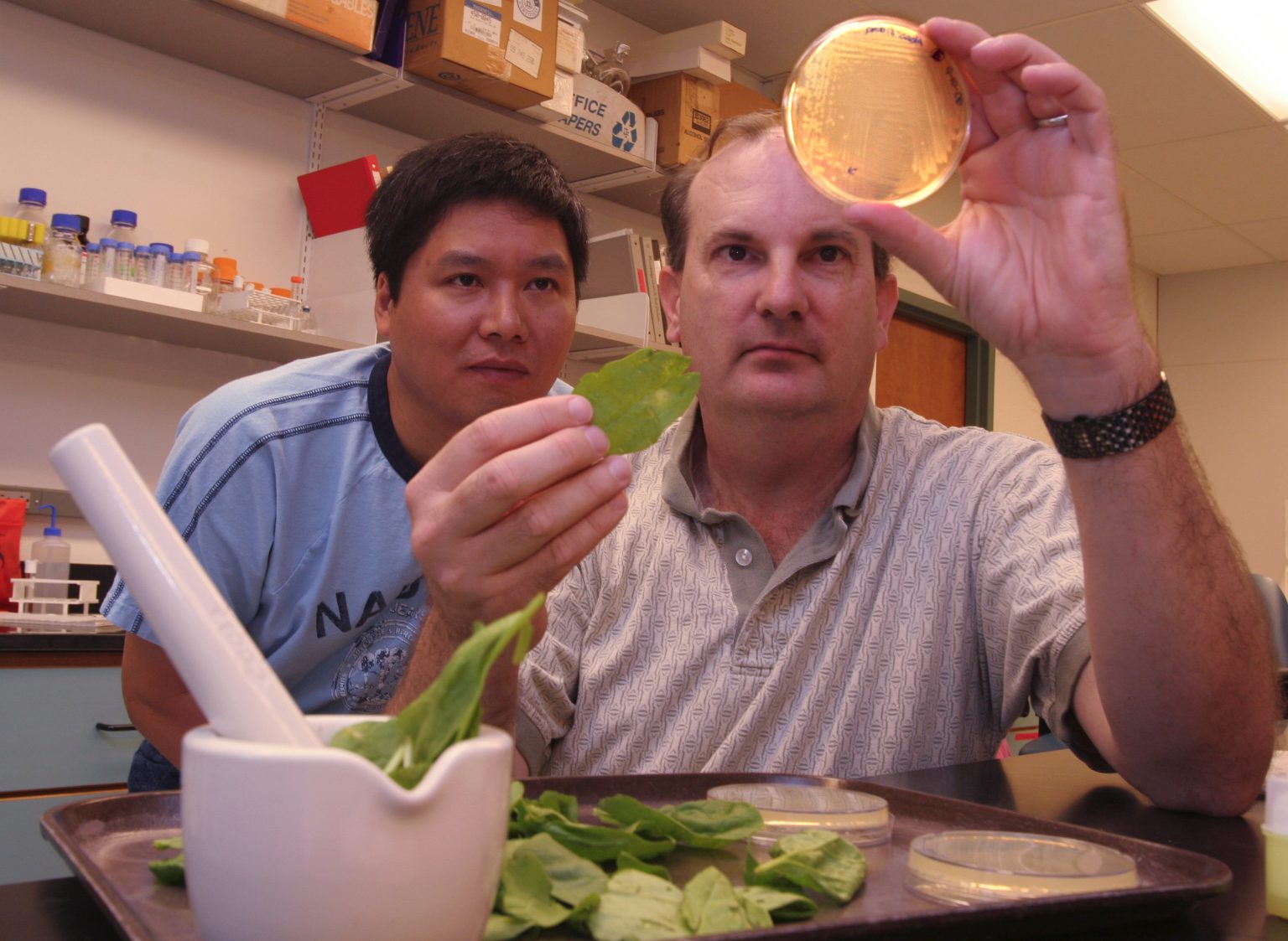 UF hopes to speed solutions to citrus greening, other crop diseases with new center - News