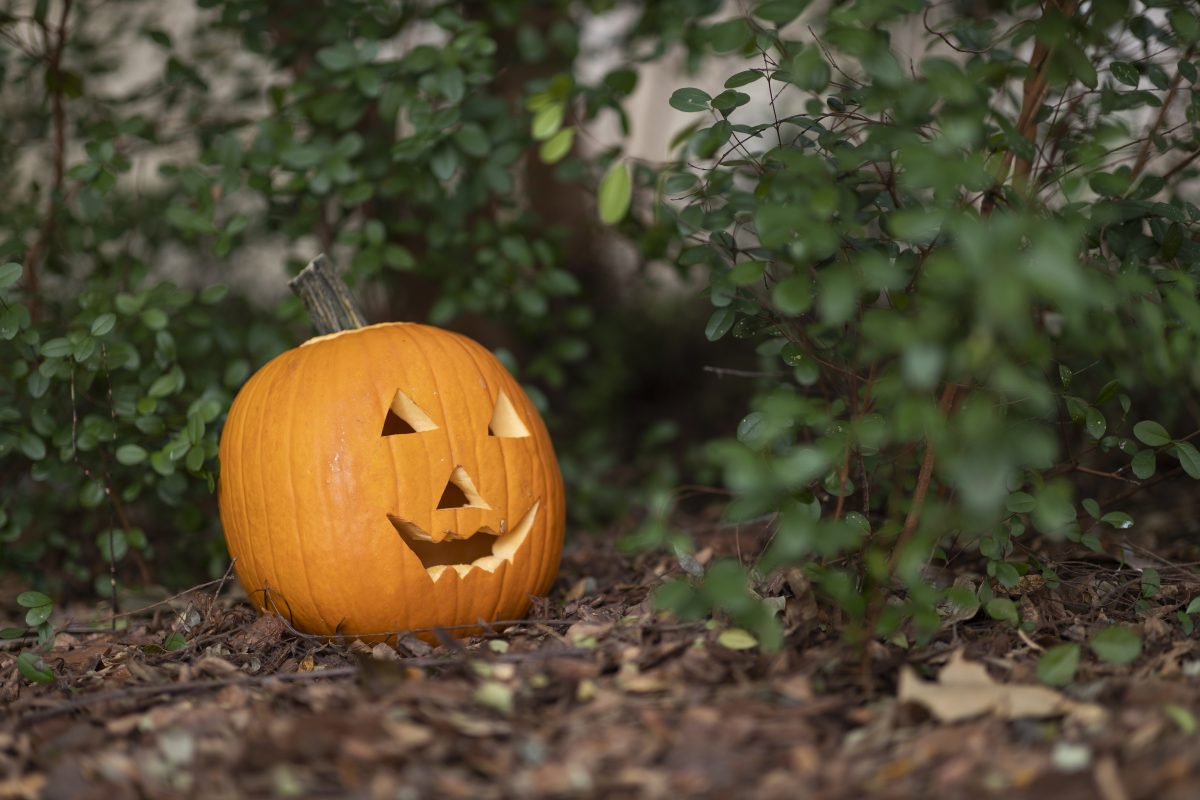 If it’s Halloween, it’s time for a pumpkin: Tips on purchasing, carving ...