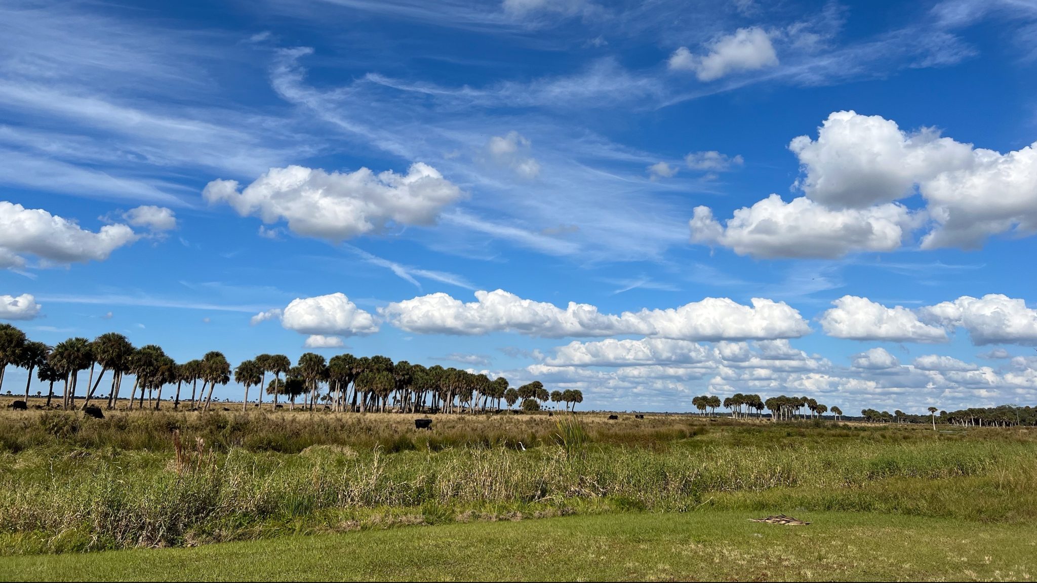 UF/IFAS study offers critical insights to encourage sustainable ...