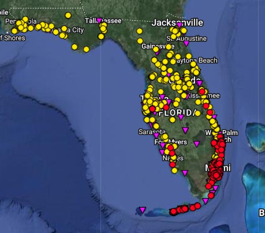 UF/IFAS unveils online tool: Stay ahead of termite risk with an ...