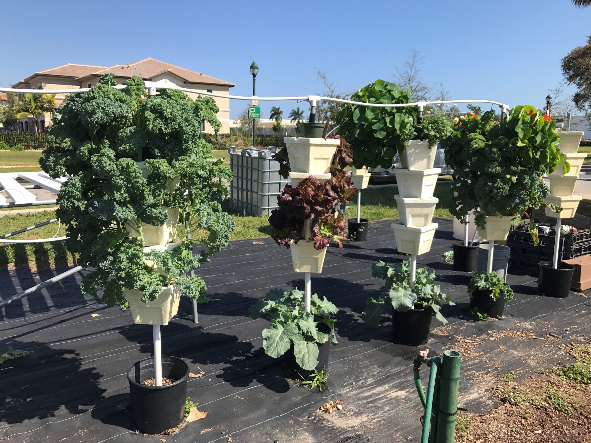 Starting a farming business? UF/IFAS hosts virtual English and Spanish ...