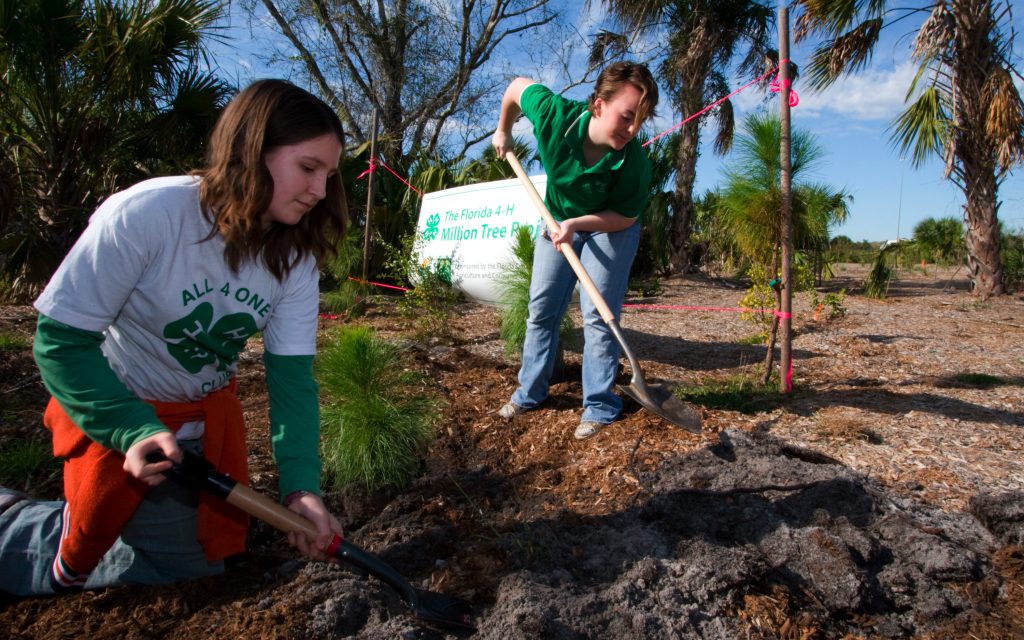 Plant the right tree in the right place with help from UF - News