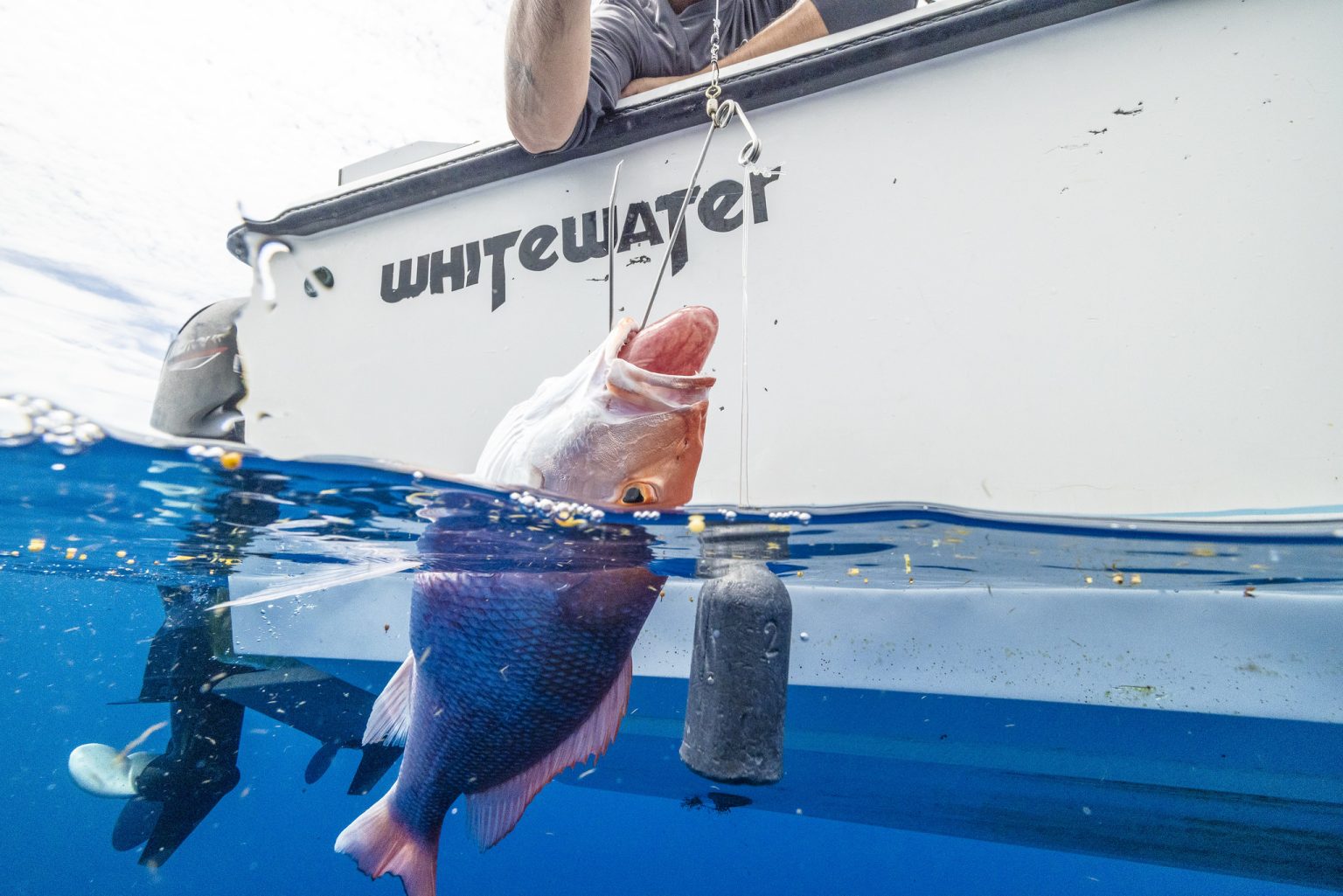 Return ‘Em Right ahora ofrece un componente educativo en español - News