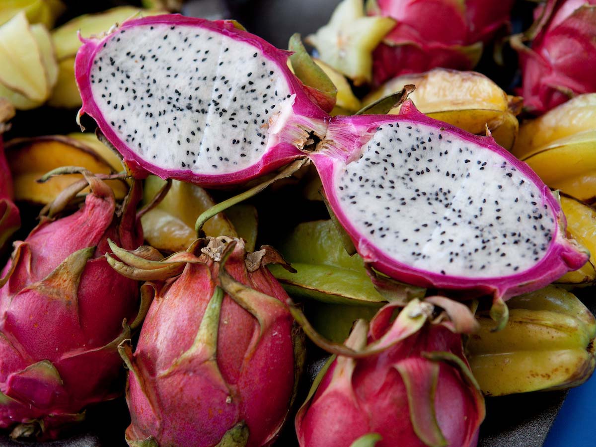 Dragon fruit workshop spurs excitement and collaboration for a robust ...