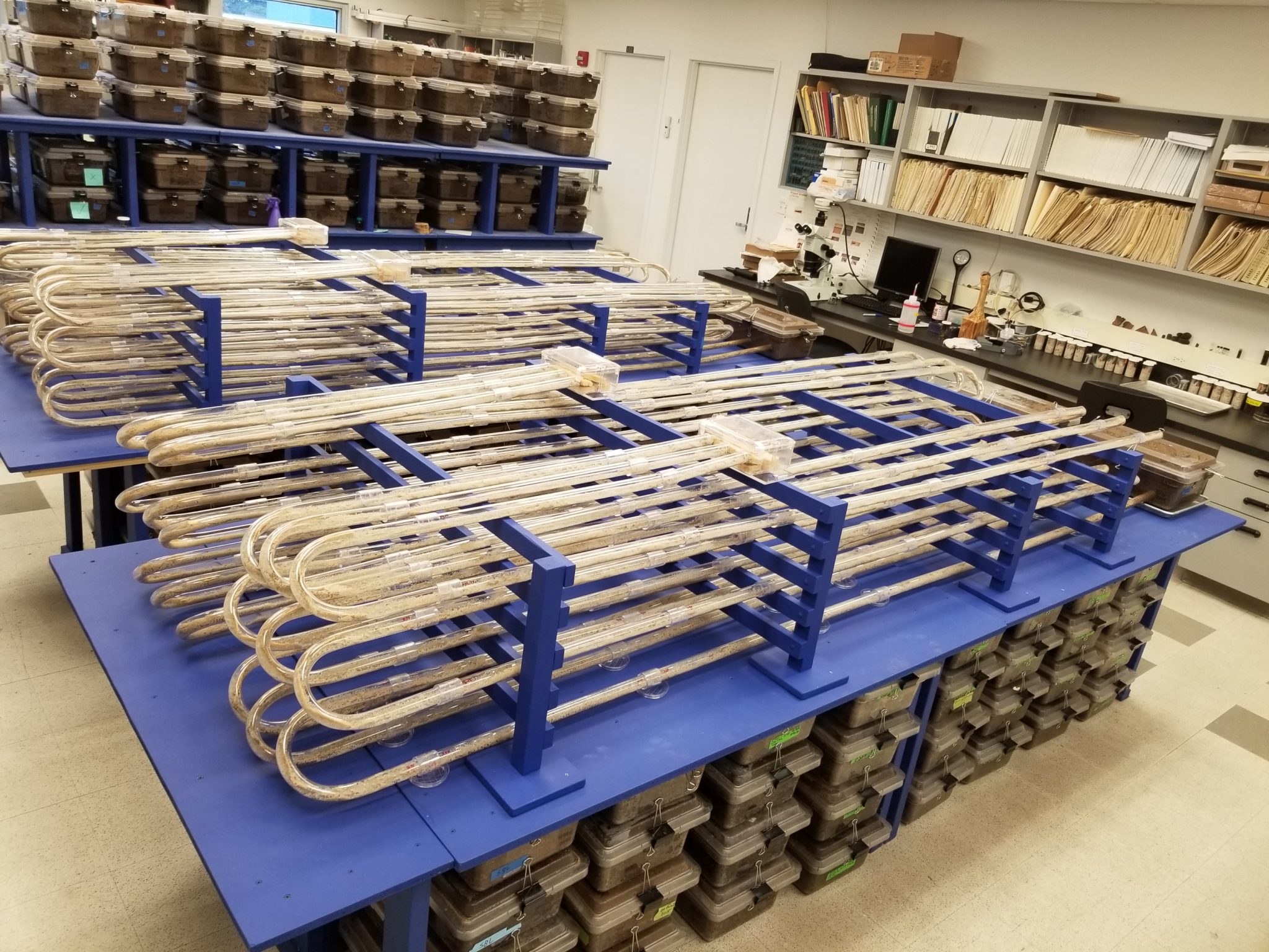 New UF study shows liquid insecticides have limited impact against subterranean termite colonies ...