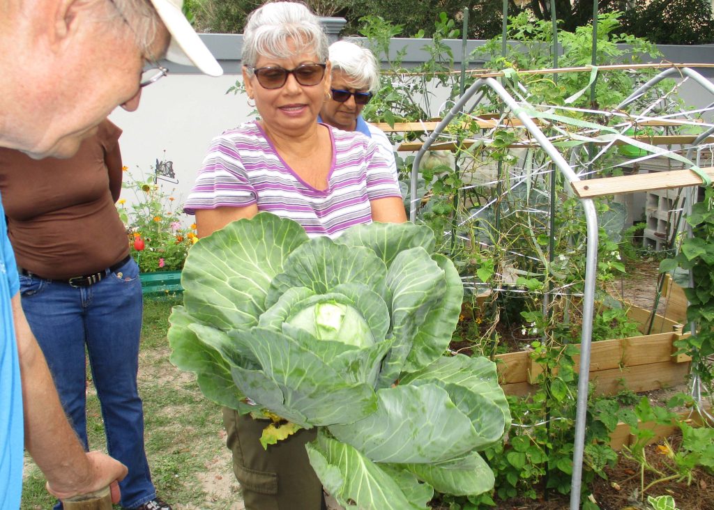 South Florida residents give urban farming a green thumbs-up as ...