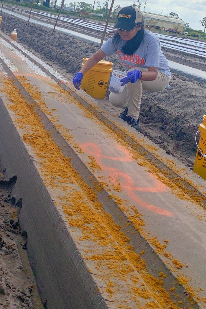 Herbicide plus fertilizer equals fewer weeds and, thus more tomatoes - News