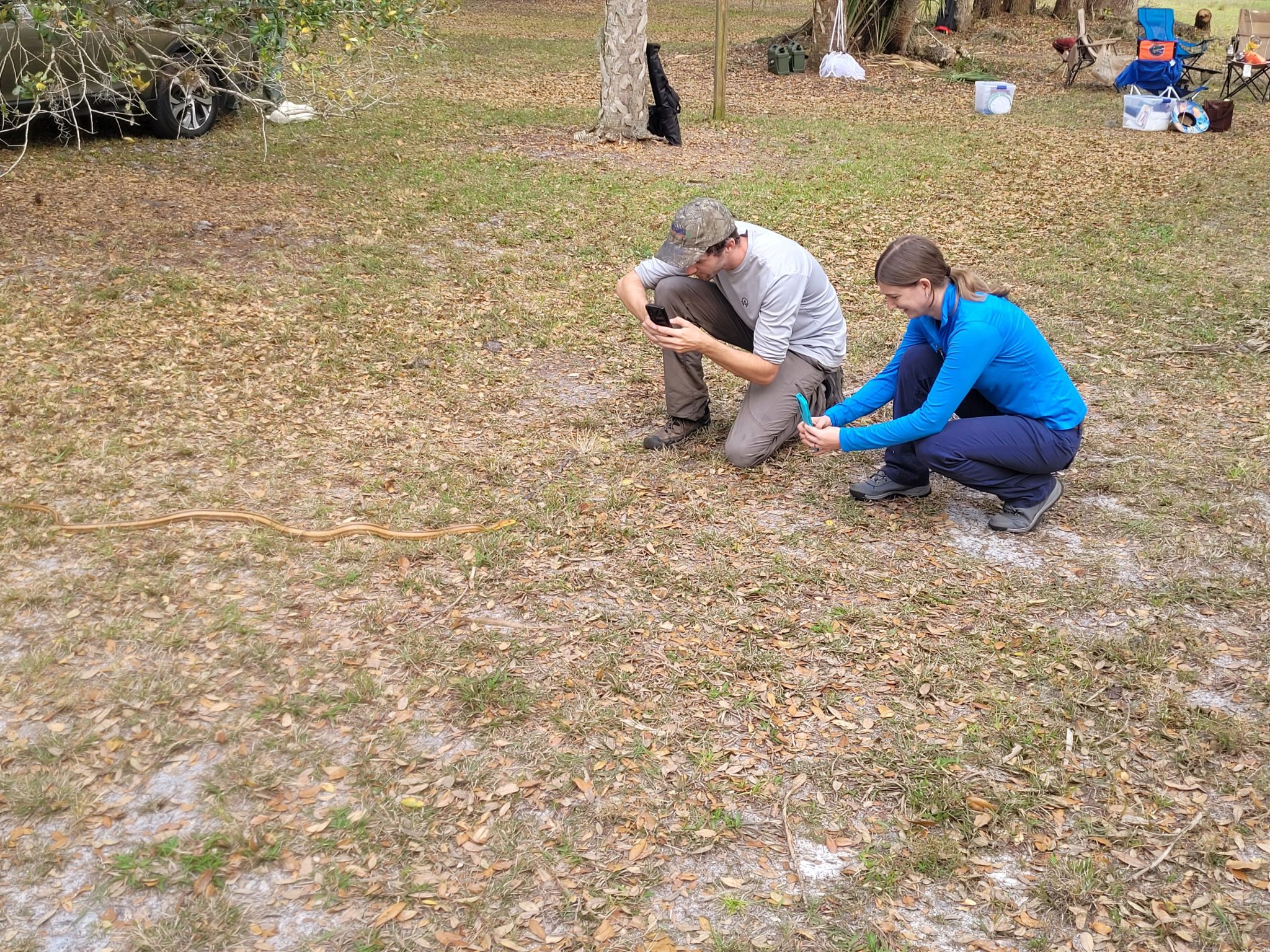 UF study demonstrates role of public participation in environmental ...