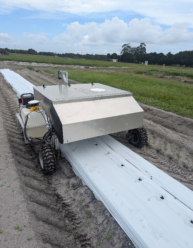 AI may help kill weeds, preserve peppers, tomatoes - News