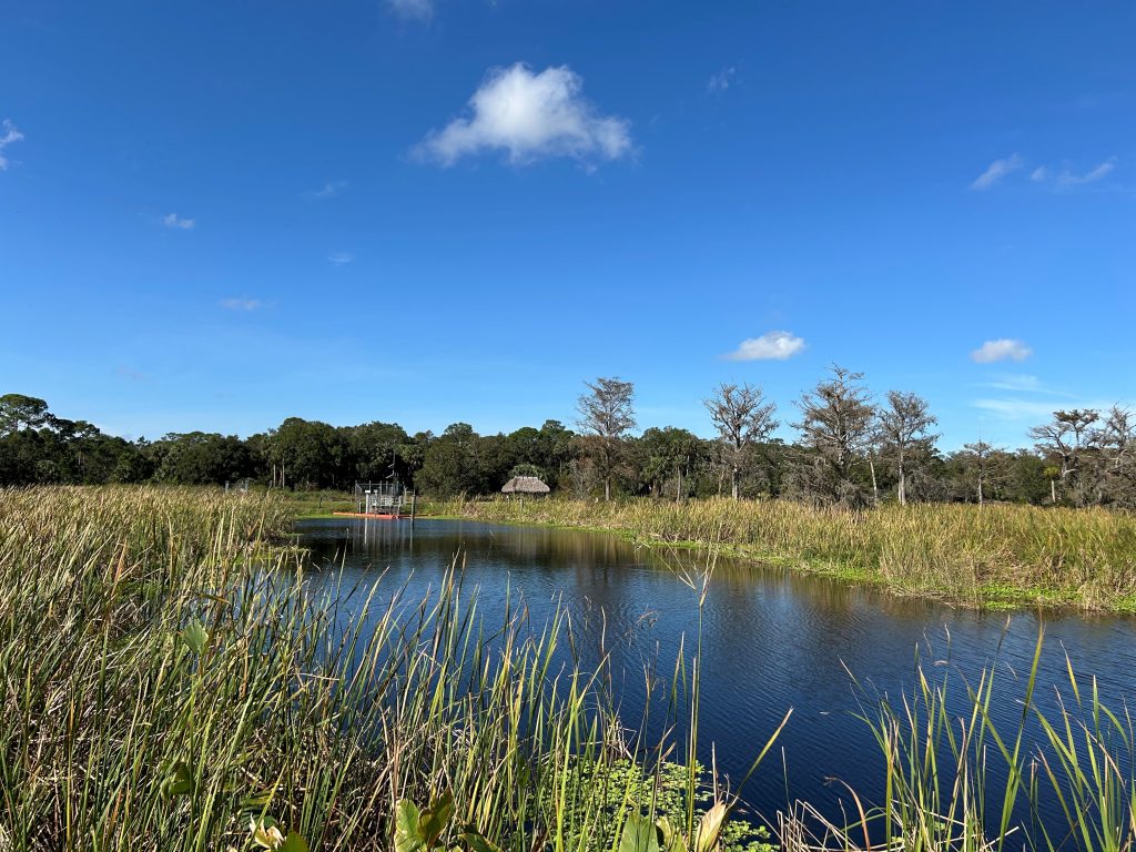 National Science Foundation awards University of Florida $300K to ...
