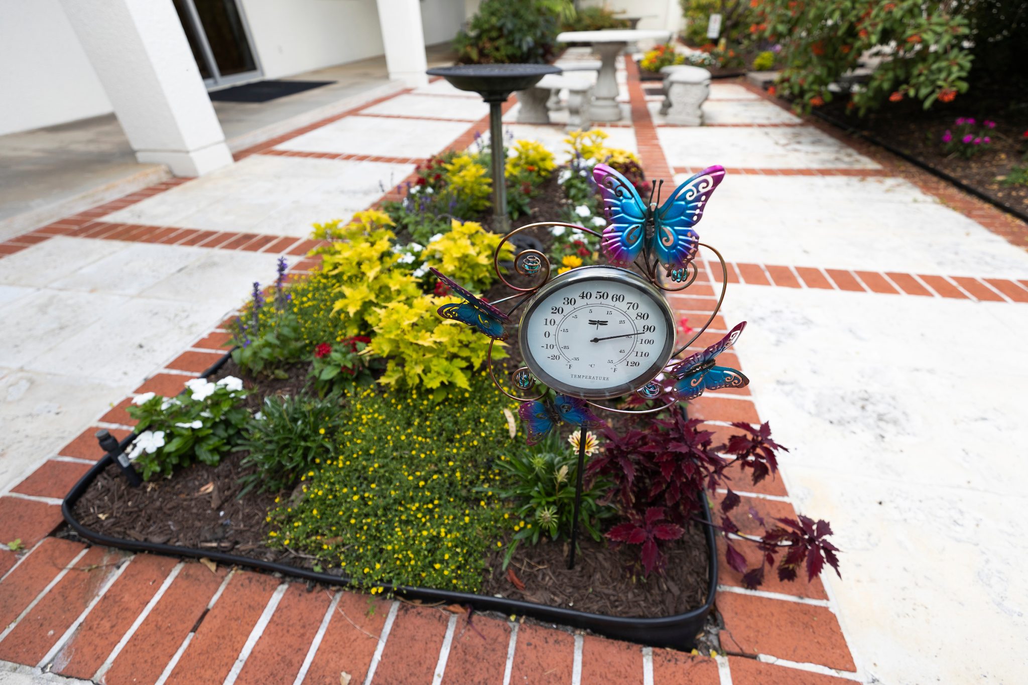 Build a dream garden, learn planting tips and more; UF/IFAS Extension ...