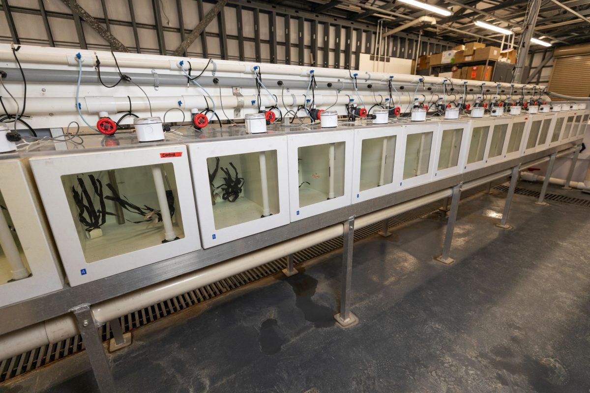 Behind the scenes: How UF/IFAS risk assessments sustain Florida’s $191M ...