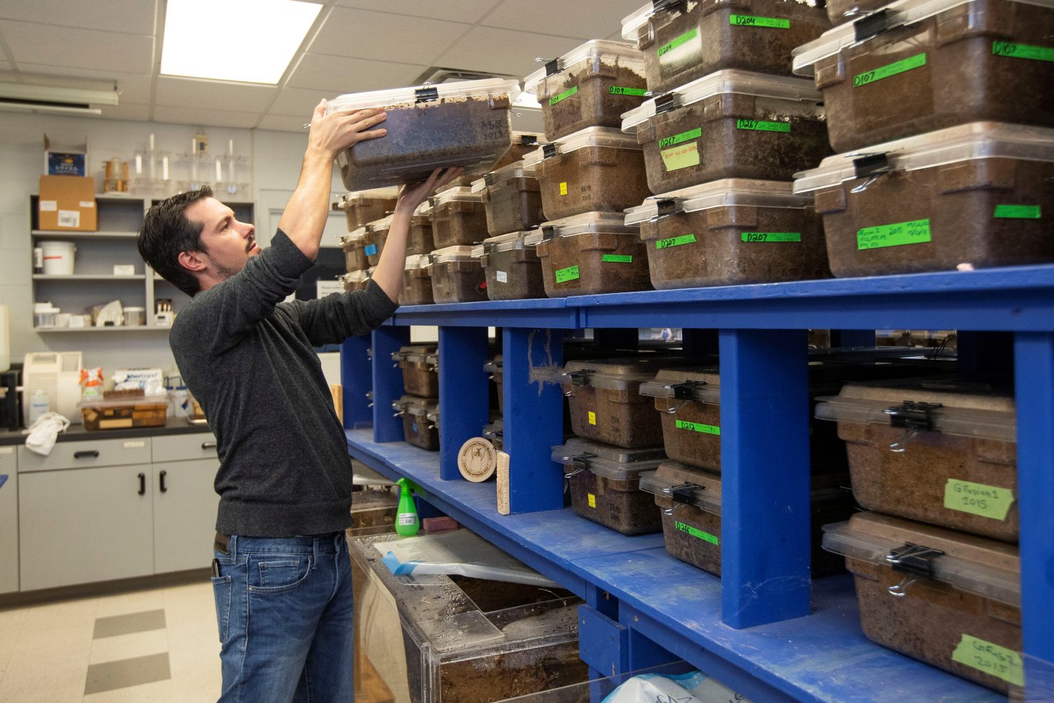 Is your neighborhood a termite hot spot? UF/IFAS researchers track the ...