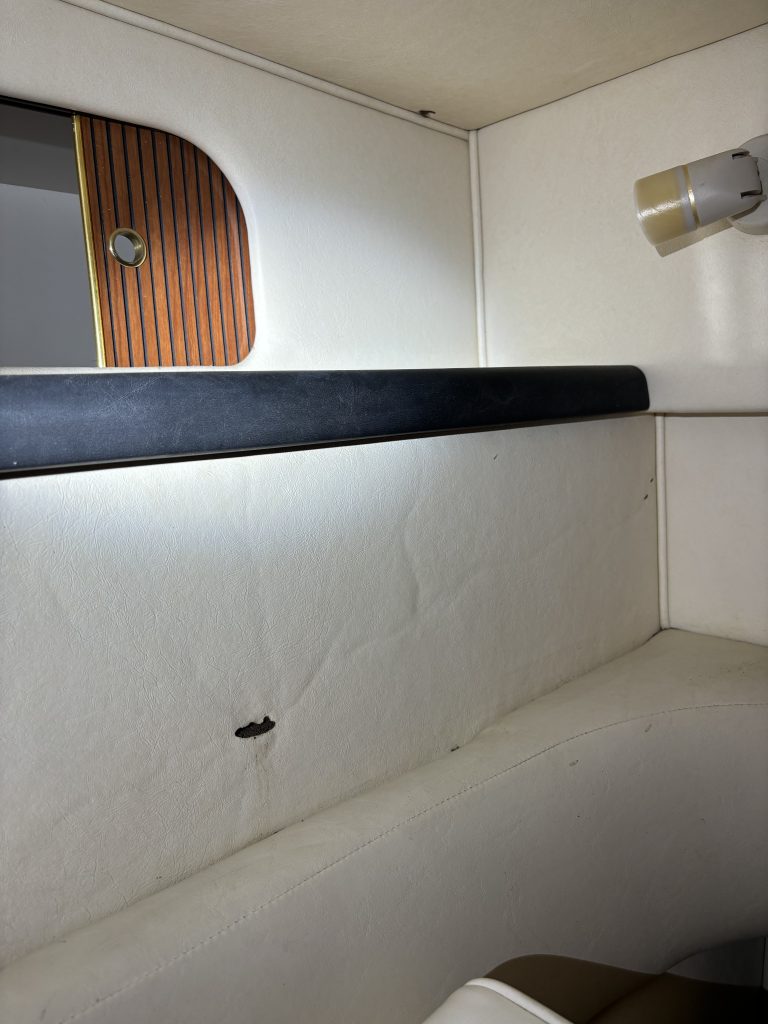 Termite stowaways: UF/IFAS study reveals boats as perfect vessels for ...