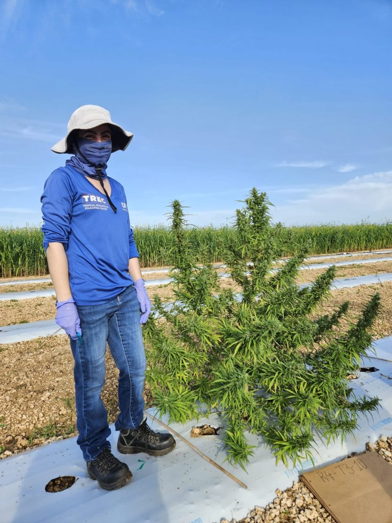 UF/IFAS study: Drones, AI help farmers save money, protect the ...