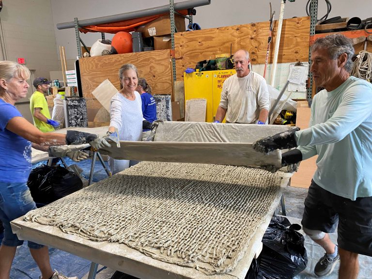 New manual provides instructions for building environmentally friendly ...