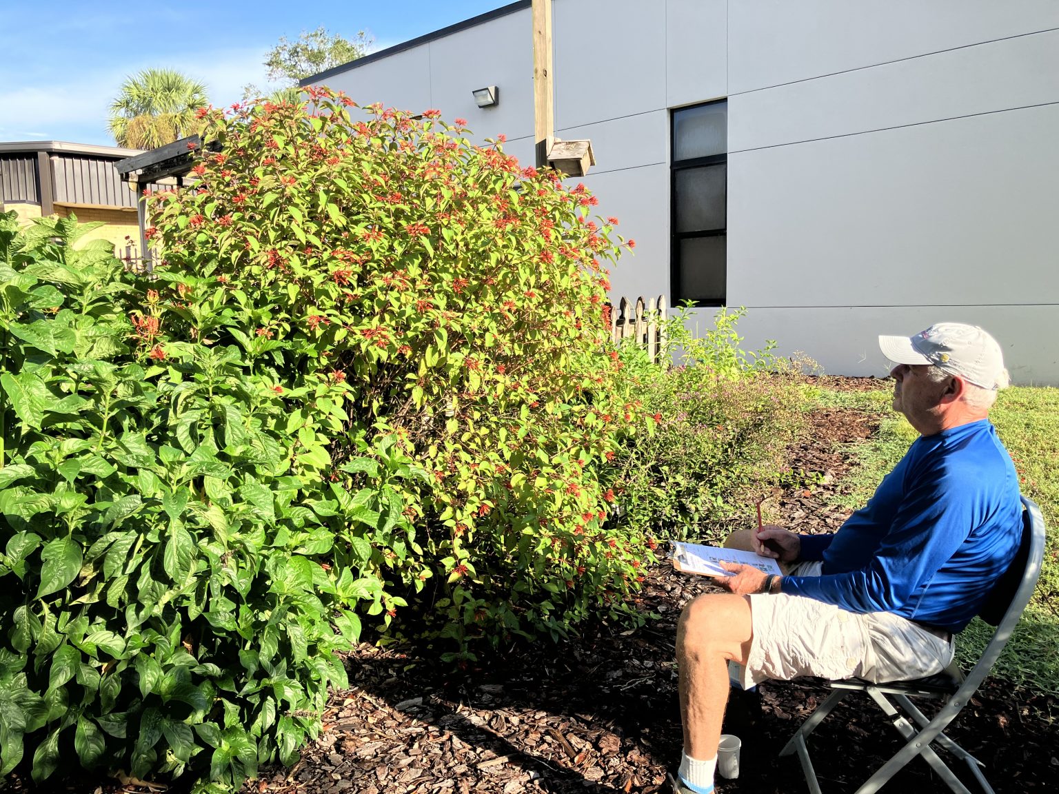 Citizen scientists: Join the pollinator count and help the bees - News