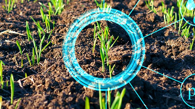 UF/IFAS Agricultural and Biological Engineering - University of Florida ...