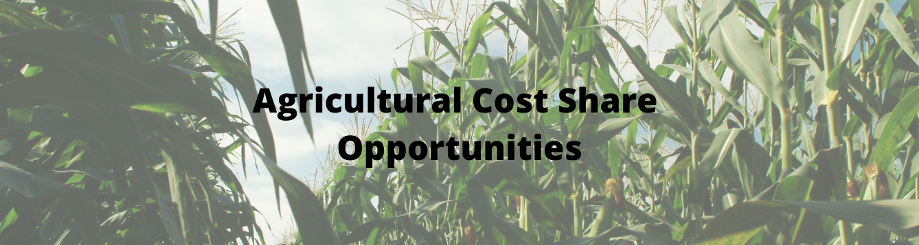 Agricultural Cost Share Opportunities - UF/IFAS North Florida Research ...
