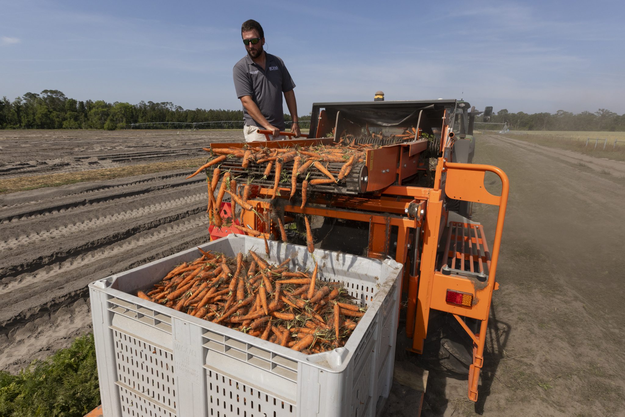 Rooted in Efficiency: 2025 Controlled-Release Fertilizer Trial Shows ...