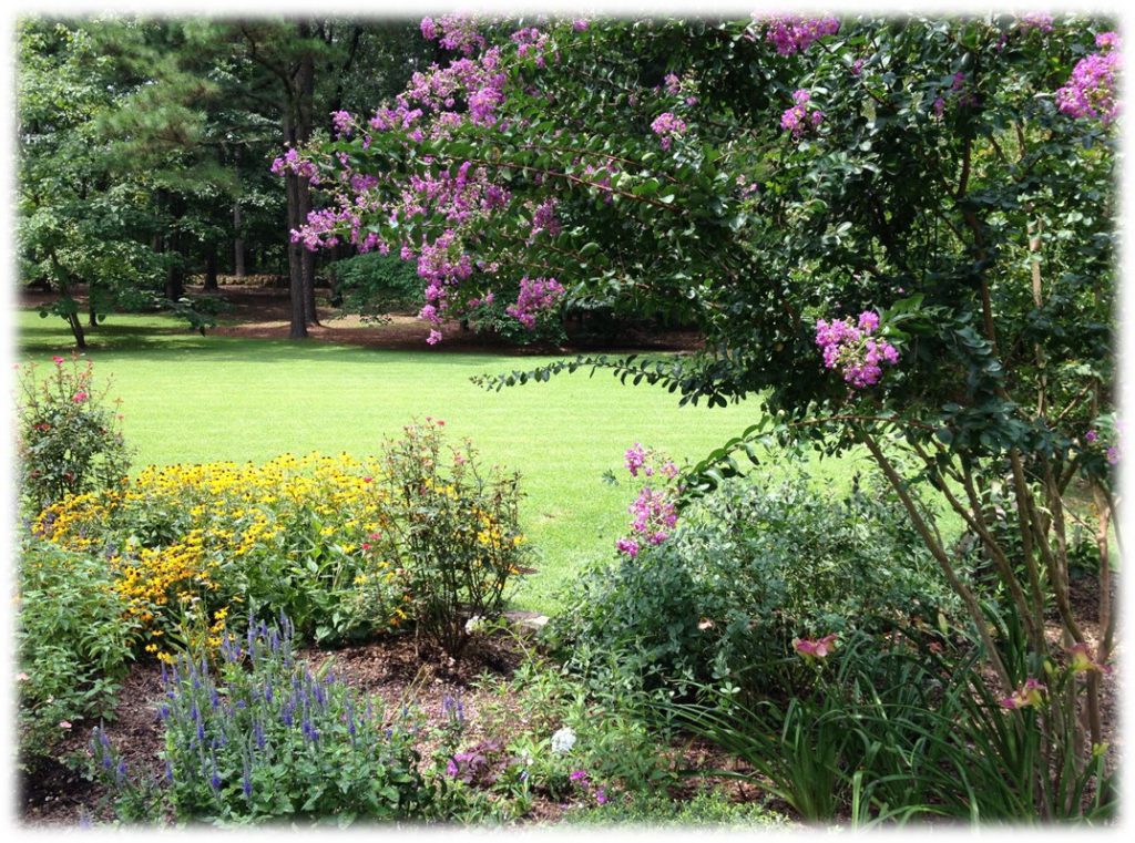 Wait to Fertilize but Time for Preemergence Herbicide, if Needed - UF ...