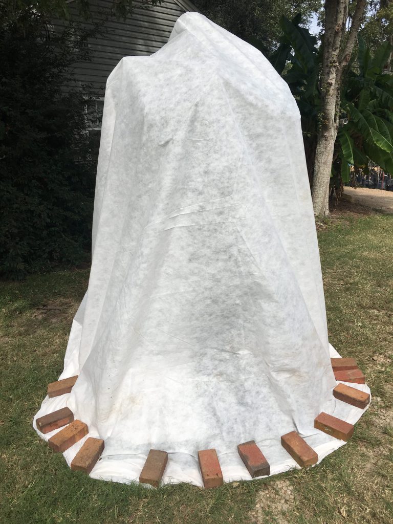 NW Florida Expecting Freezing Temperatures - Landscape Cold Protection ...