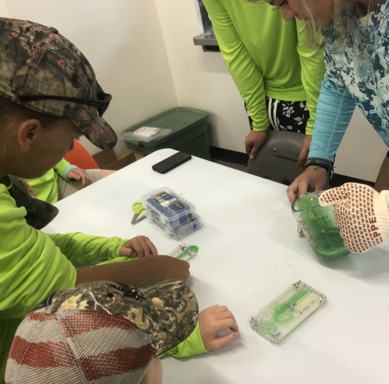 Hooked on Conservation: A Fun and Educational Fish Camp Experience - UF ...