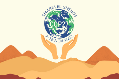 COP27 Special Edition - SDGs and One Health: Climate Action
