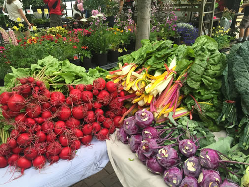 Residential Market Gardens - UF/IFAS Extension Orange County