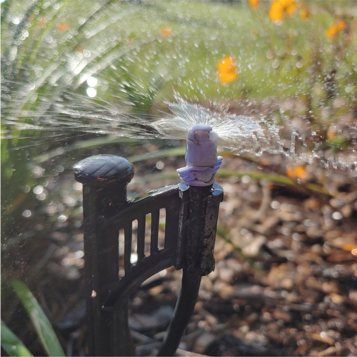 Microirrigation for Vegetable Gardens - UF/IFAS Extension Orange County