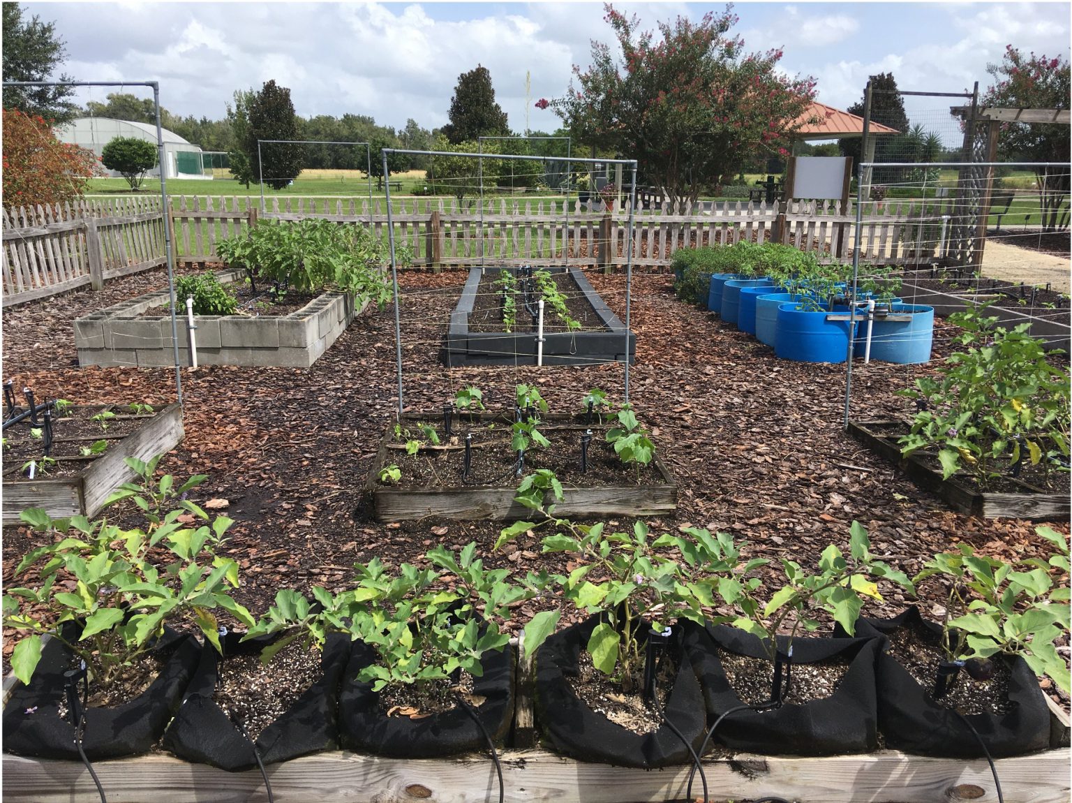 Exploration Gardens - A UF/IFAS Extension Botanical Garden - UF/IFAS ...