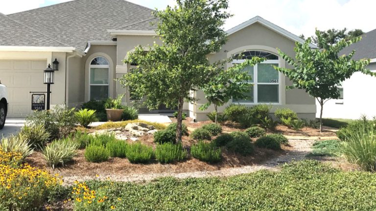 No Mow Lawns in Florida - UF/IFAS Extension Orange County