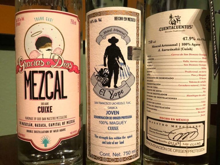 Agaves: Cheers to spirits in the garden - UF/IFAS Extension Orange County