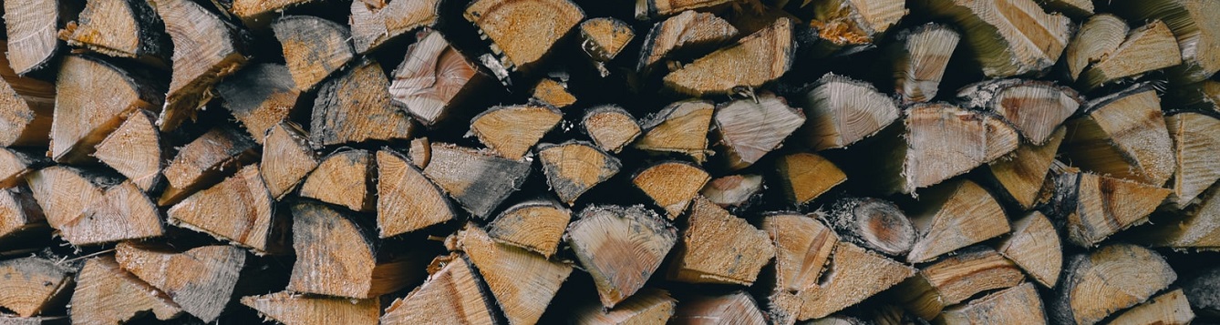 The Ring of Fire... Wood: Buy Local, Burn Local. - UF/IFAS Extension ...