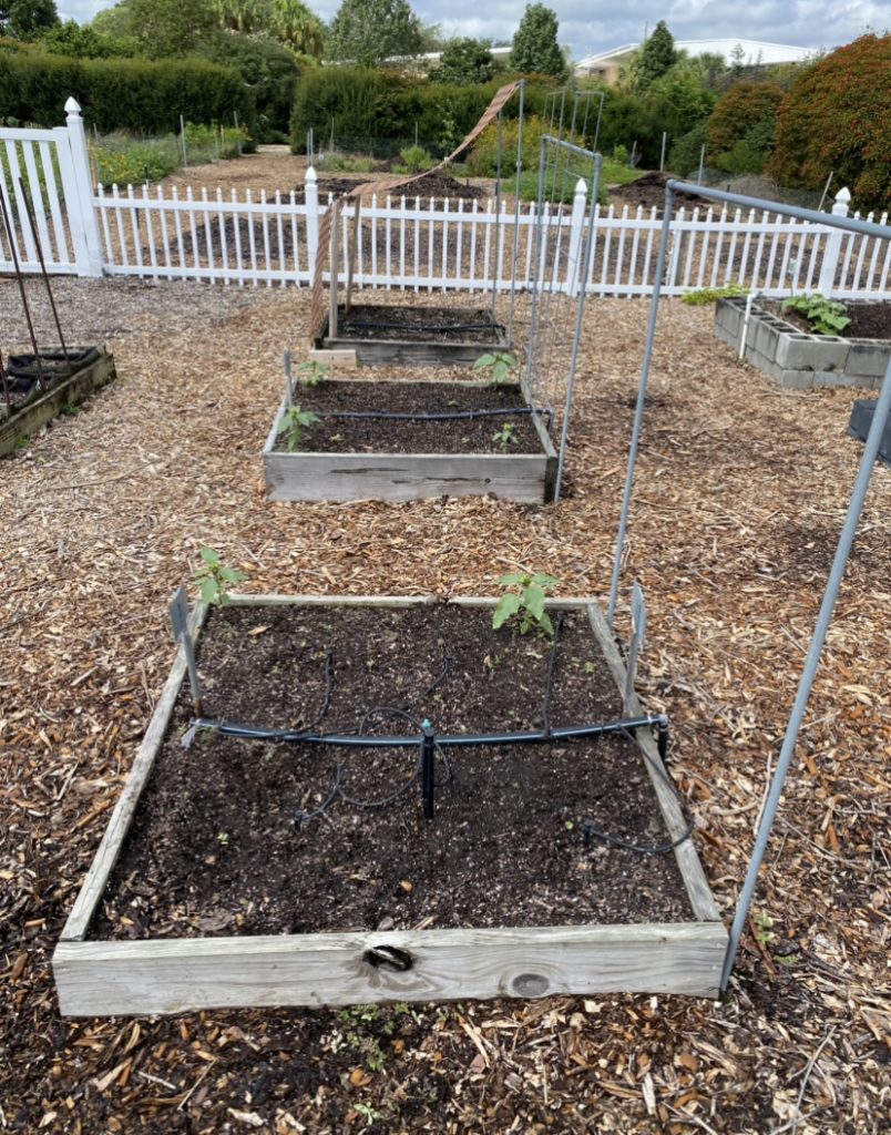 One of the Easiest Garden Beds to Build - UF/IFAS Extension Orange County
