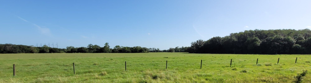 UF/IFAS Extension Osceola County