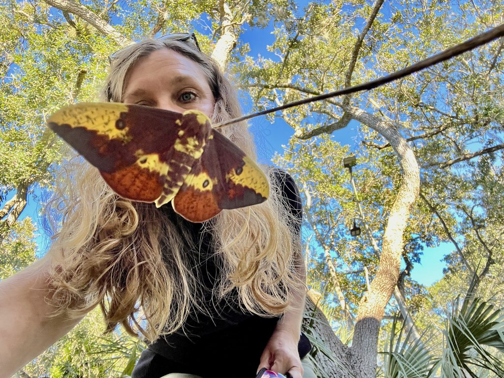 Go Mothing! It’s National Moth Week—Join the Hunt! - UF/IFAS Extension ...