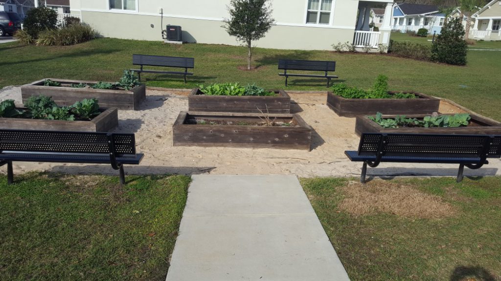 Community Garden Thrives and Changes Lives - UF/IFAS Extension Pasco County