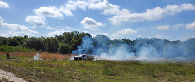 Cattle prices high? Invest in your cattle operation - UF/IFAS Extension ...