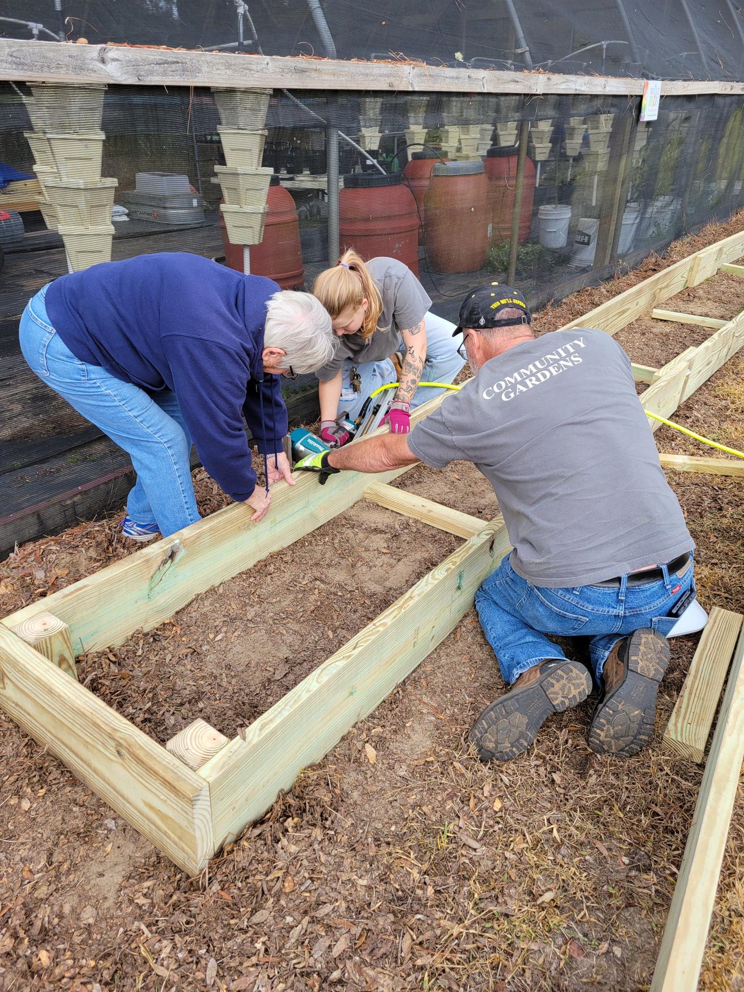 The Value of Community Gardens: Physical Health Impact - UF/IFAS ...