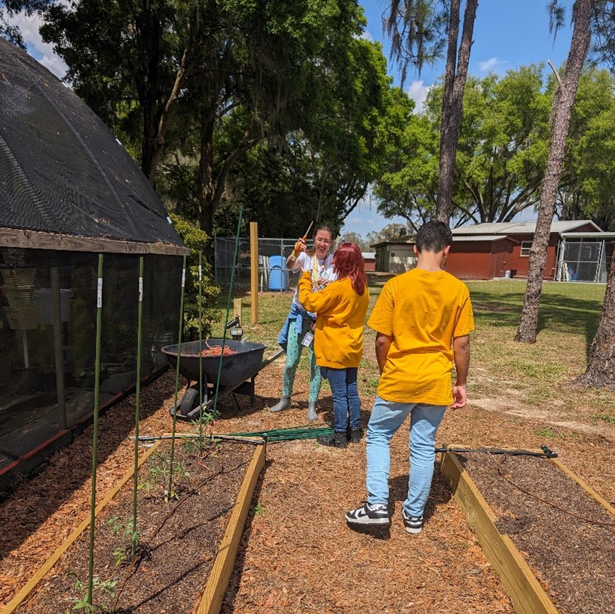 The Value of Community Gardens: Cultural Impact - UF/IFAS Extension ...