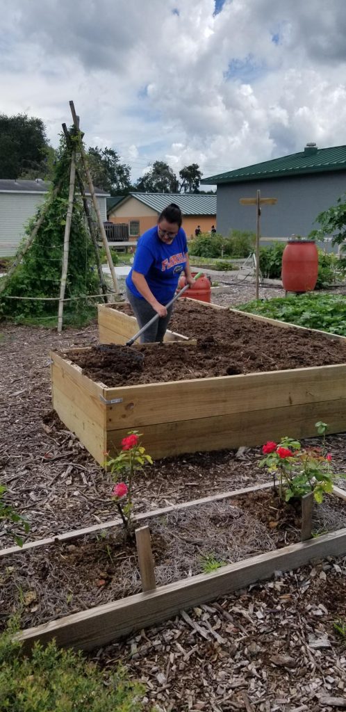 The Value of Community Gardens: Health Impact - UF/IFAS Extension Pasco ...
