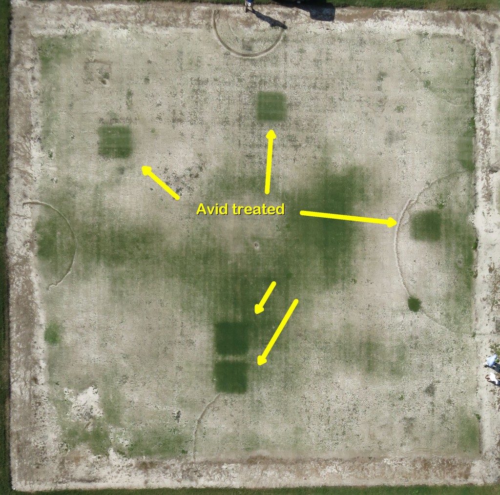 Avid 0.15 EC Nematicide Label for Florida Approved! - UF/IFAS Pest Alert