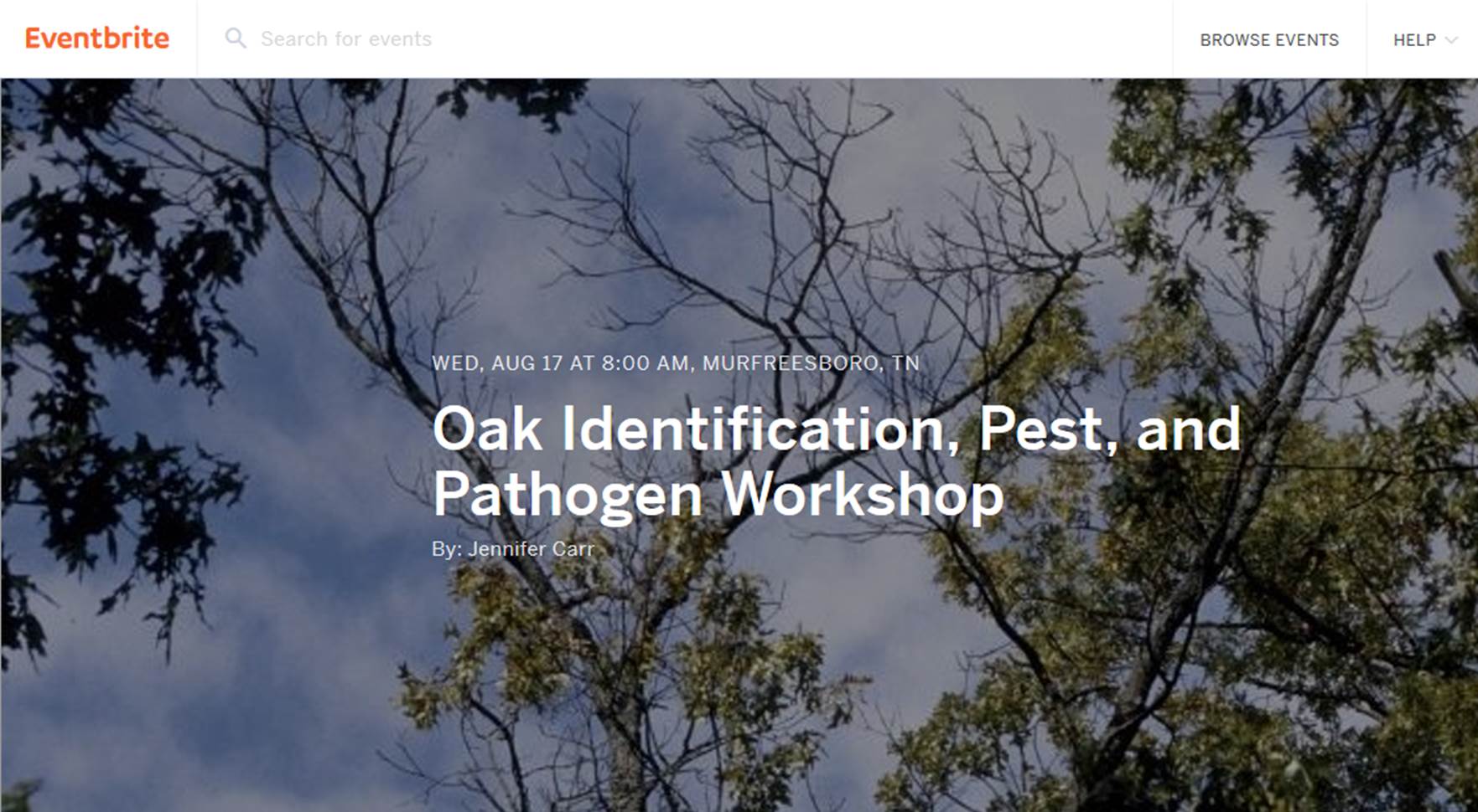 Oak Identification, Pest and Pathogen Workshop Aug. 17-18 - UF/IFAS ...