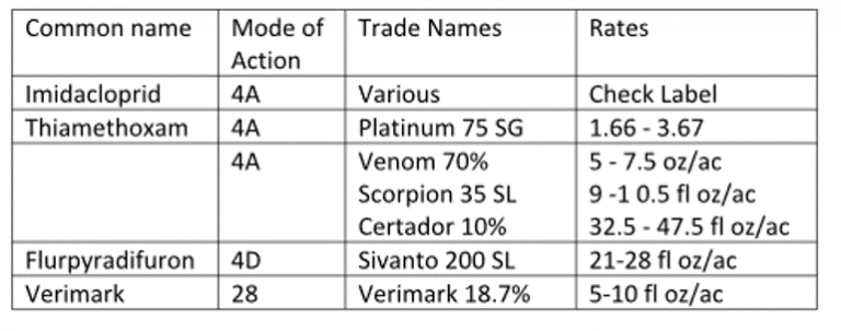 Whitefly Alert - UF/IFAS Pest Alert