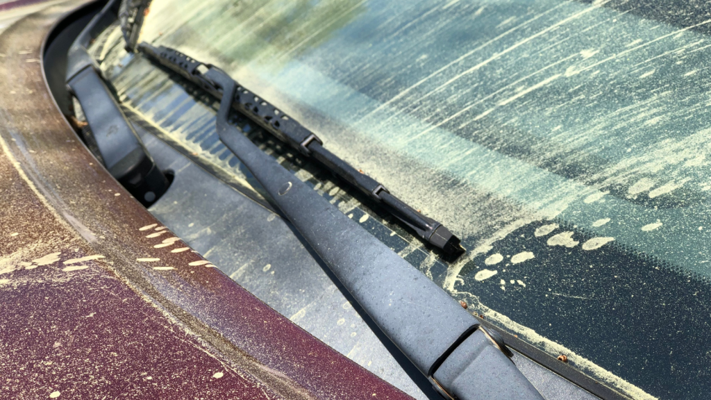 What Is This Yellow Stuff on My Car? - UF/IFAS Extension Pinellas County