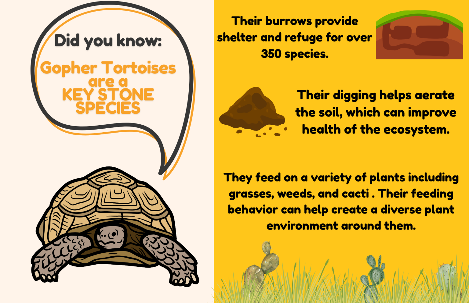 Gopher Tortoise Day: "Shell-a-Brate" This Keystone Species - UF/IFAS ...